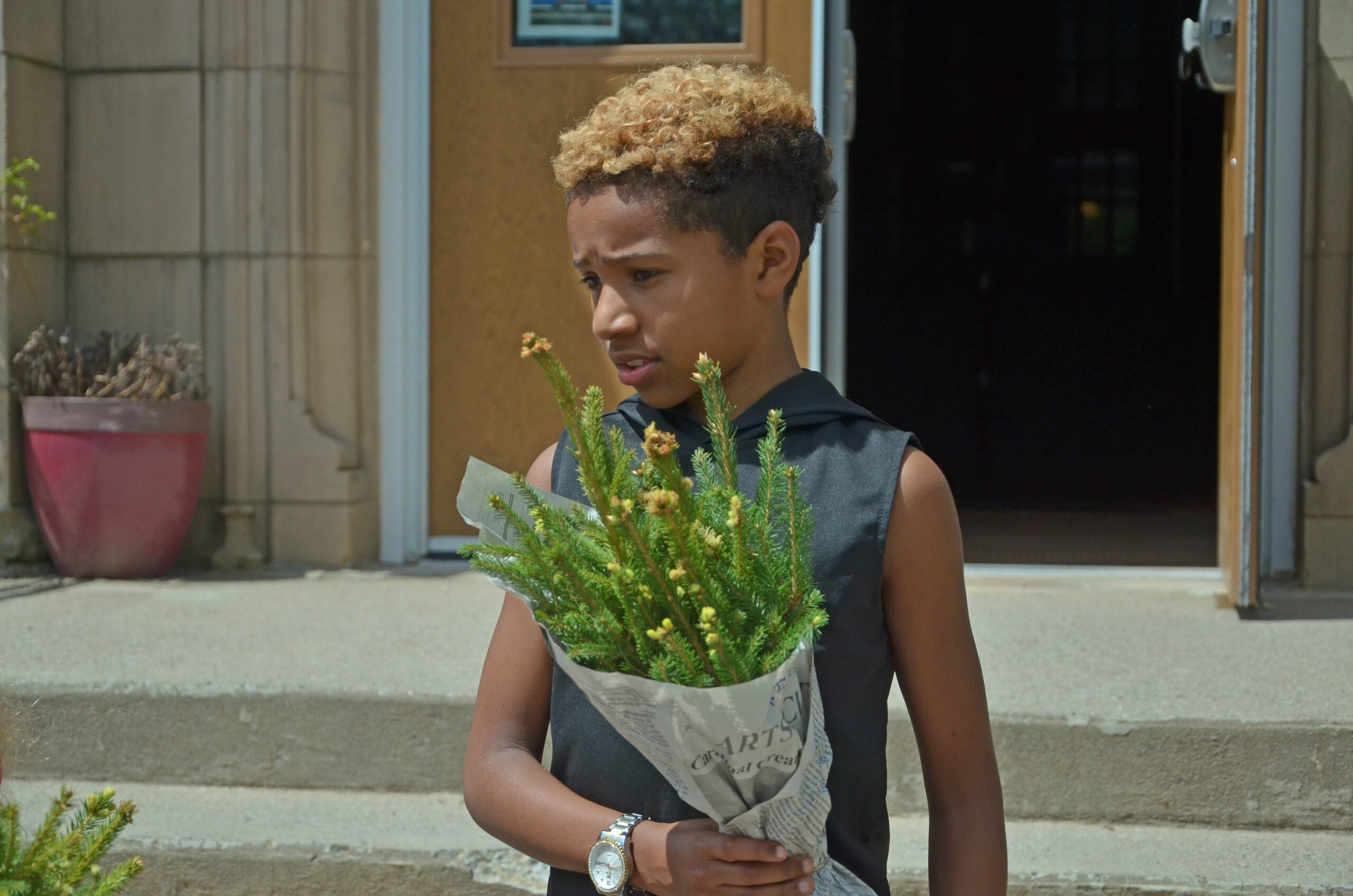 Tree6 | News, Sports, Jobs - Adirondack Daily Enterprise